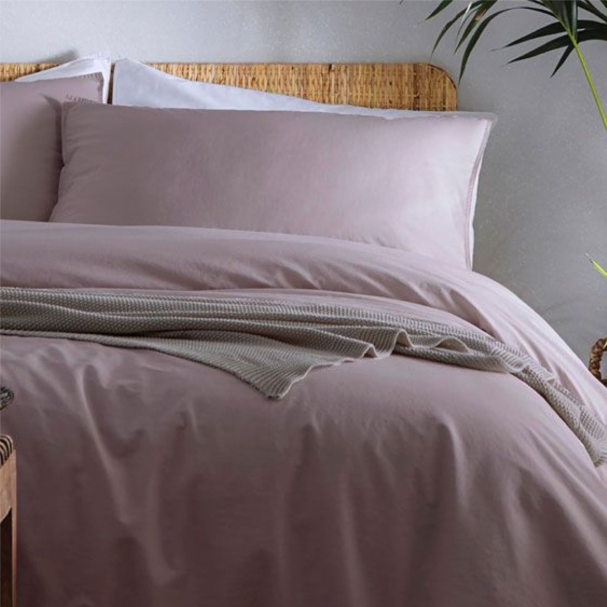 Cassia 100% Heather-CBDS