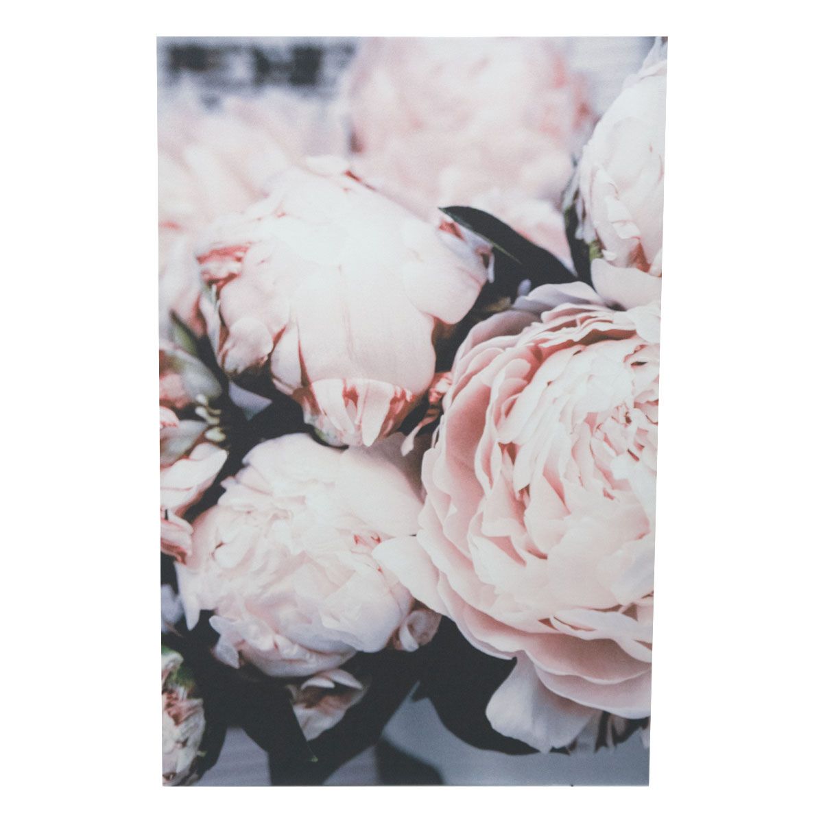 peony canvas